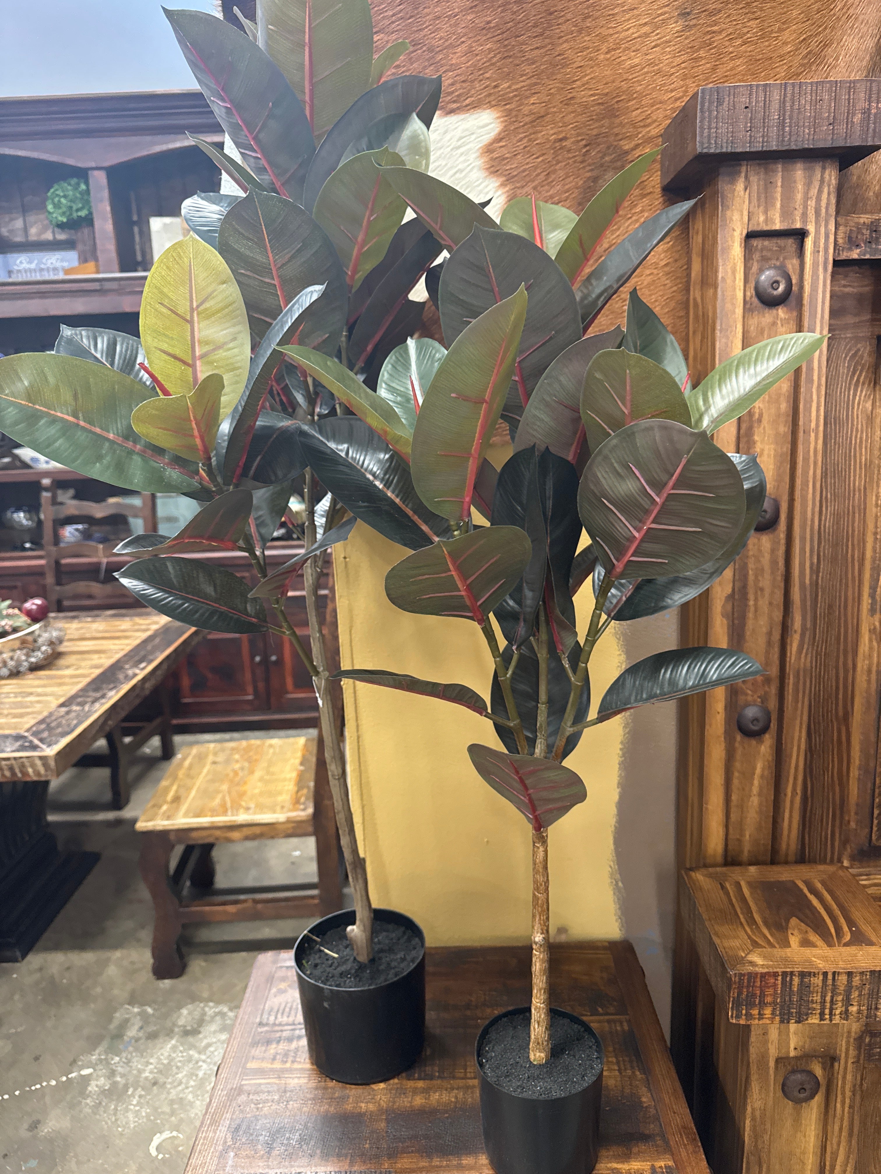 Ruby plant med – Santa Fe Terra